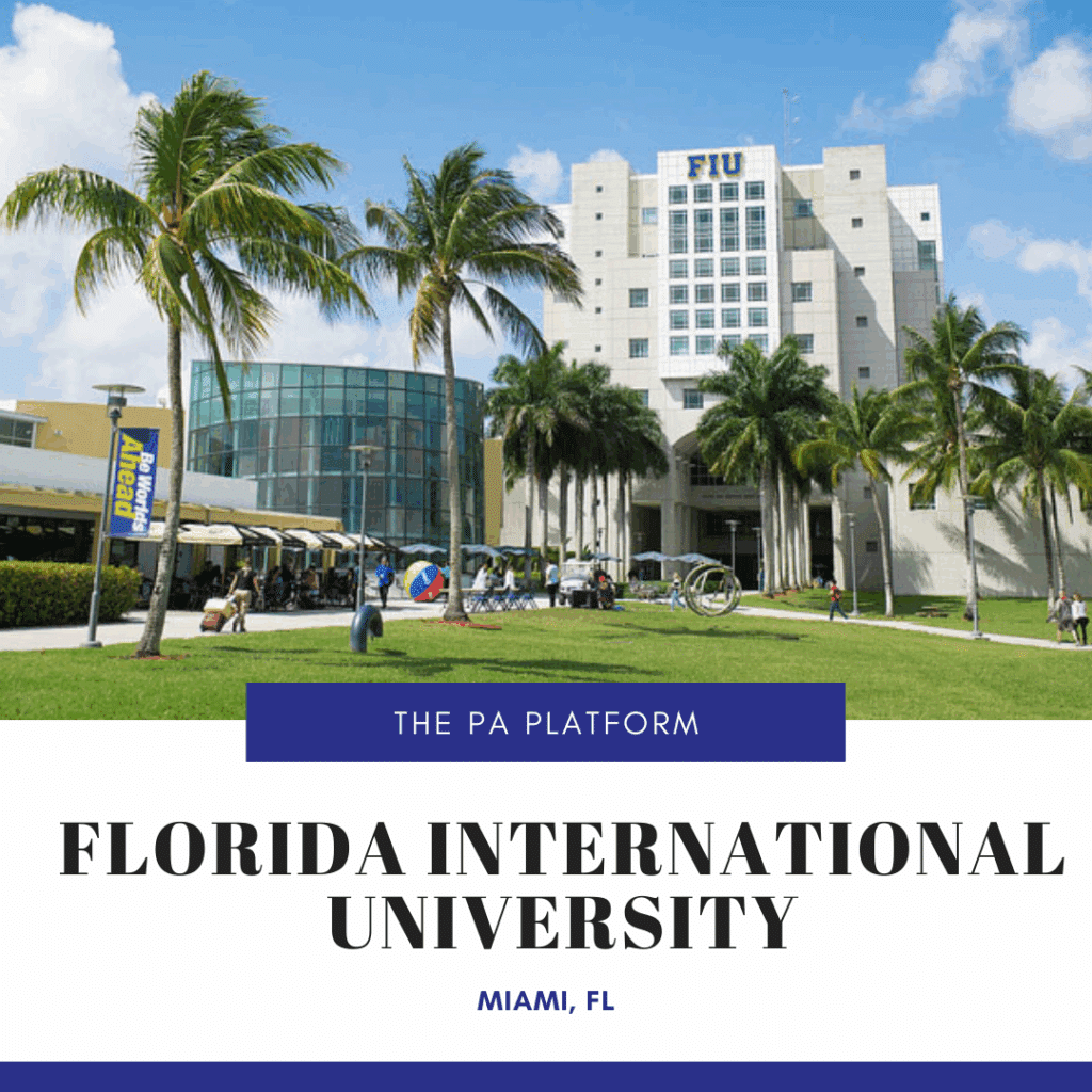 Program Spotlight: Florida International University Herbert Werthelm ...